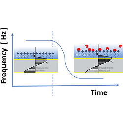Quartz Crystal Microbalance in Biological Surface Science and Soft ...