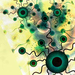 Polymer-Grafted Nanoparticles - AIP Publishing LLC