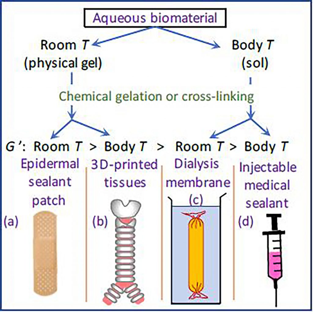 Adjusting Processing Temperature Results in Better Hydrogels for ...