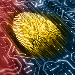 Advanced Materials and Devices for Medical Applications - AIP ...