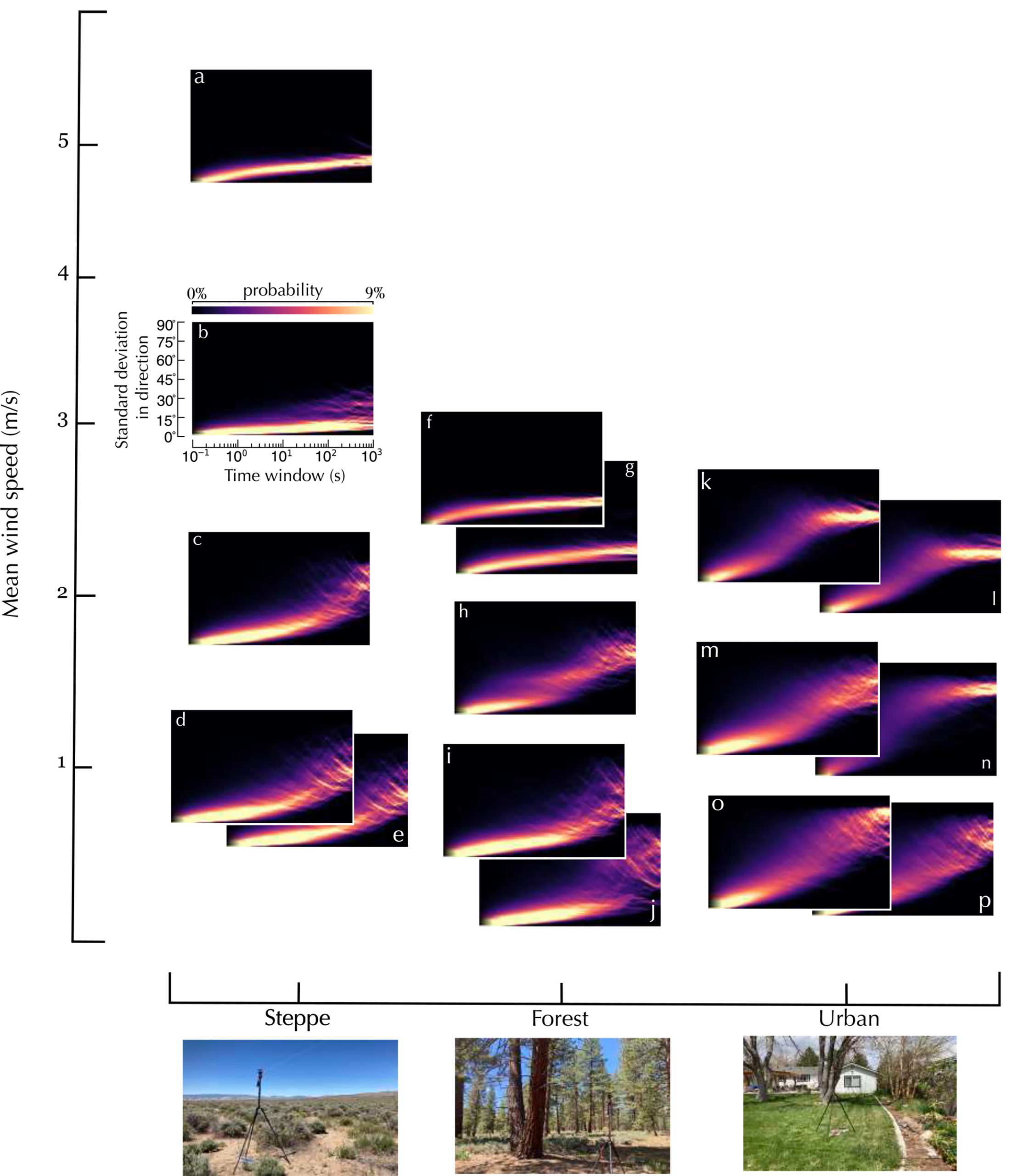 How Insects Track Odors by Navigating Microscale Winds - AIP Publishing LLC