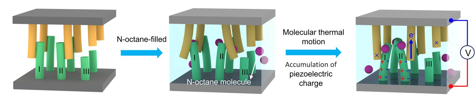 Harnessing Molecular Power: Electricity Generation on the Nanoscale ...